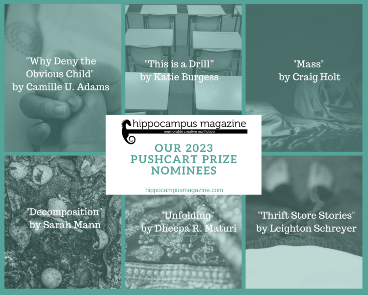 Hippocampus Magazine’s 2023 Best of the Net & Pushcart Prize Nominees ...